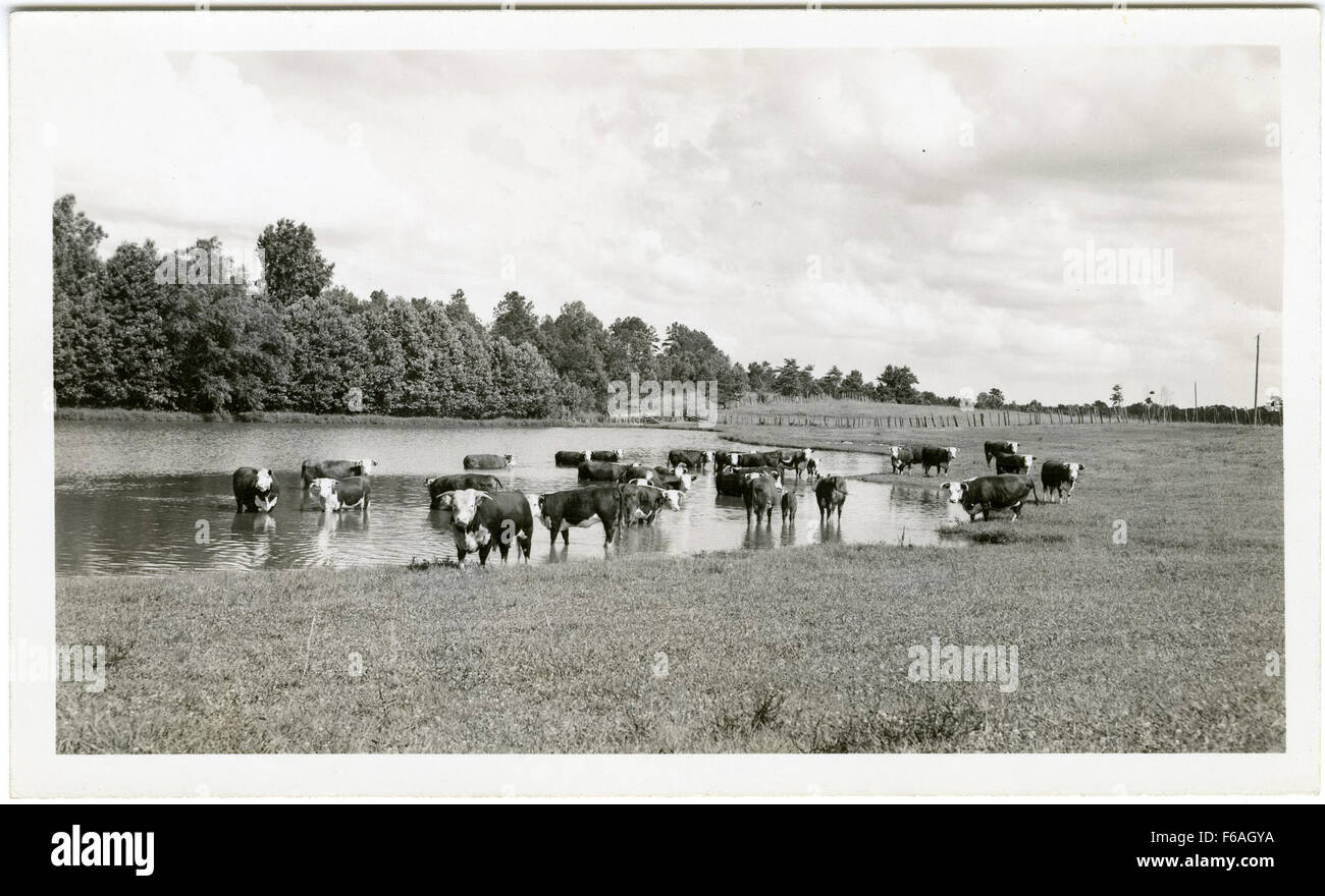 Map of Copiah County, Mississippi, illustrating its boundaries, major ...