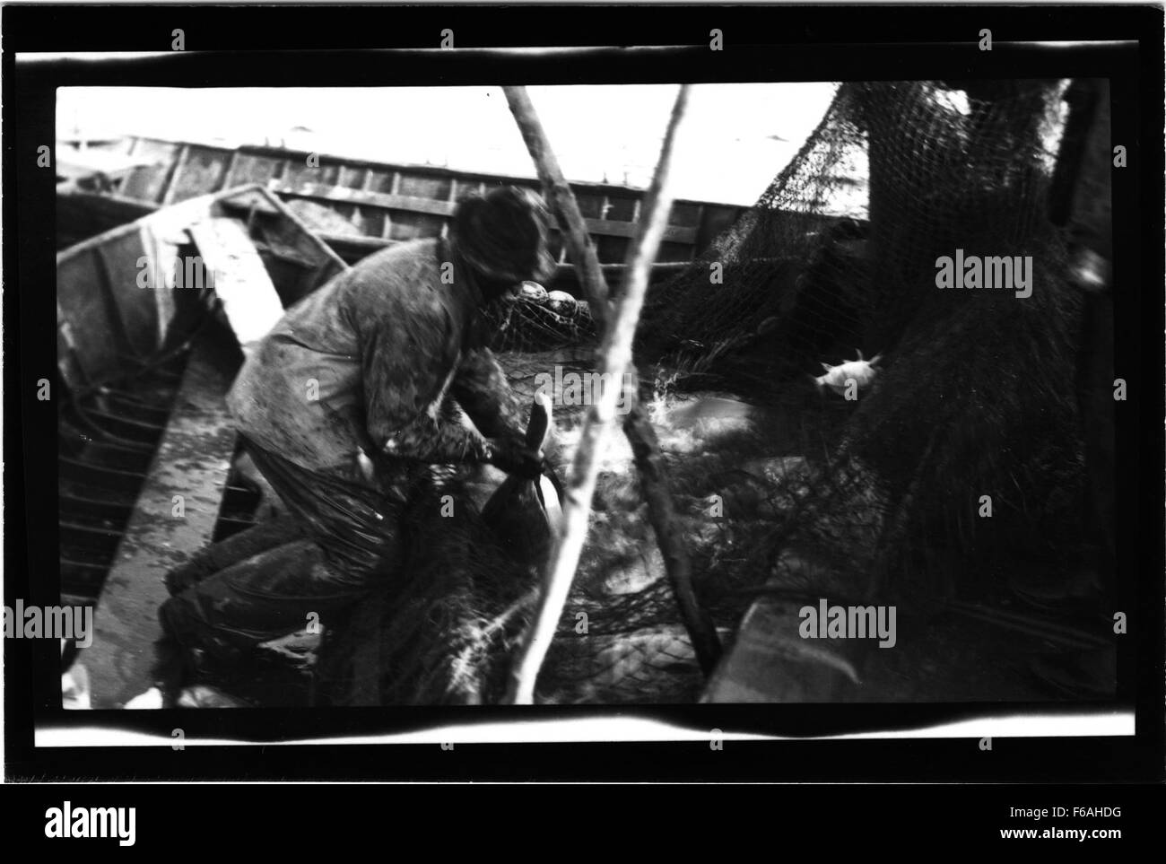 A photograph showing the seining process at Moon Lake in McGee ...
