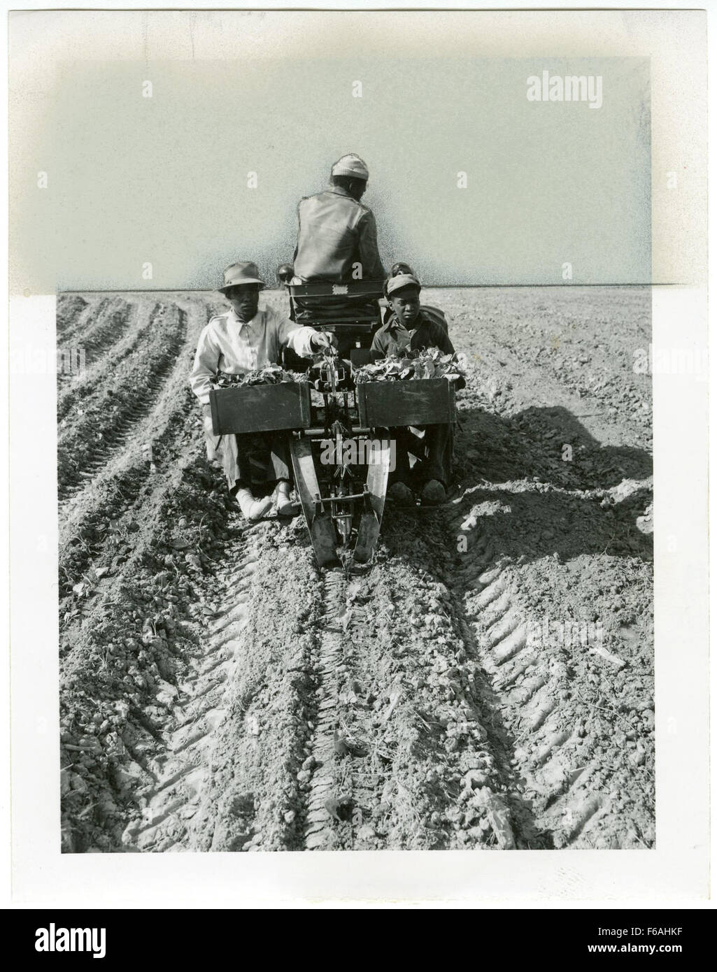 Copiah Coop, planting Stock Photo - Alamy