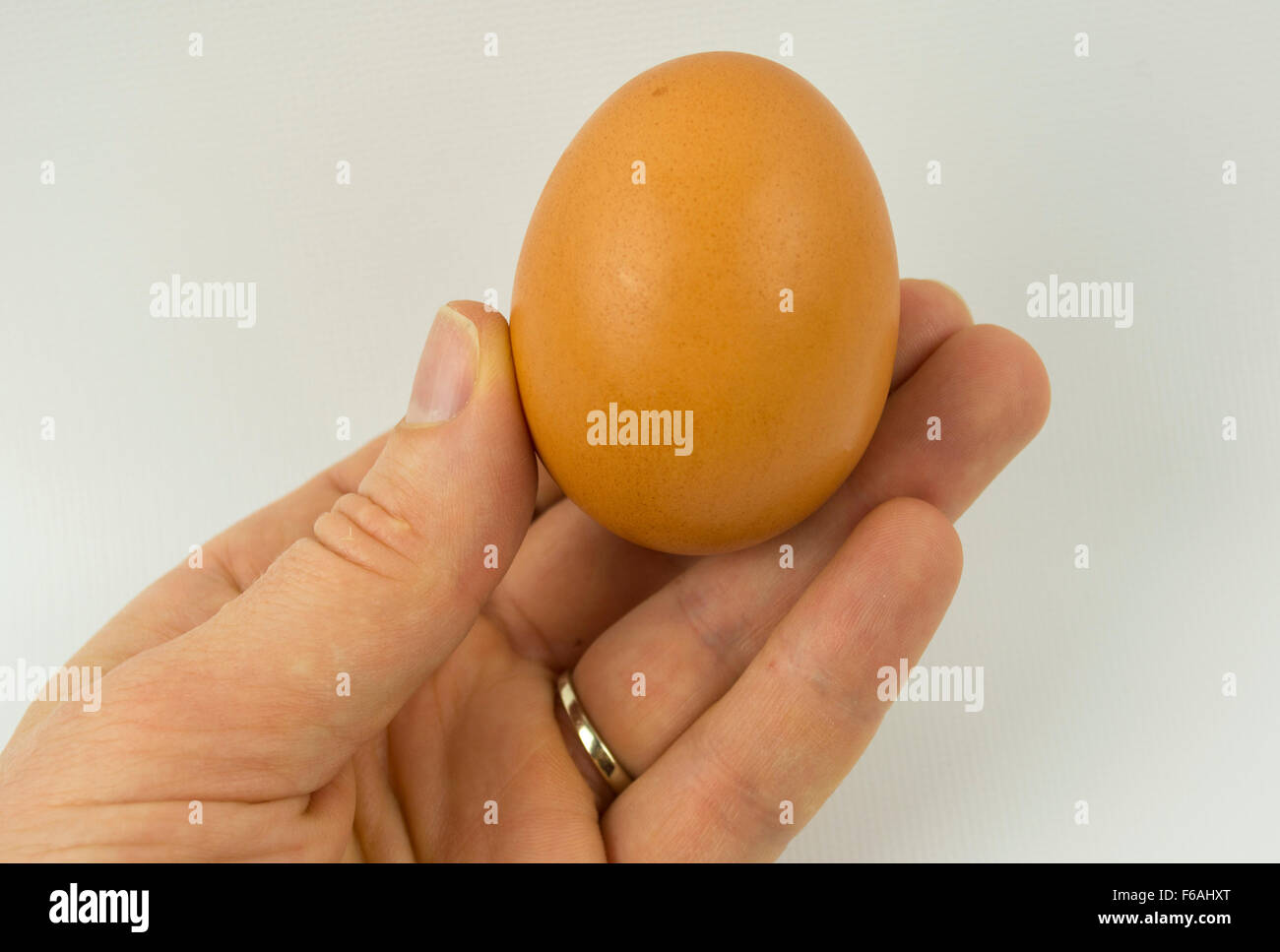 Hand holding an egg Stock Photo - Alamy