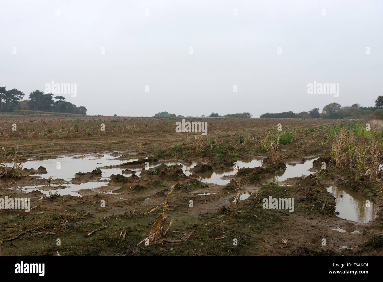Water logged hi-res stock photography and images - Alamy