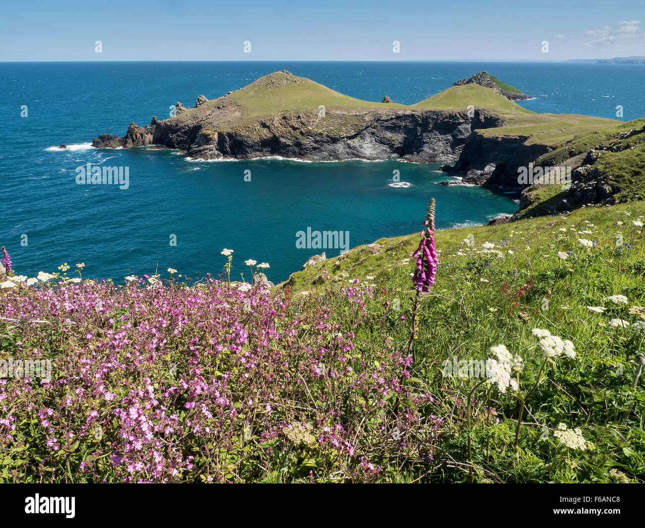 West pentire cornwall hi-res stock photography and images - Alamy