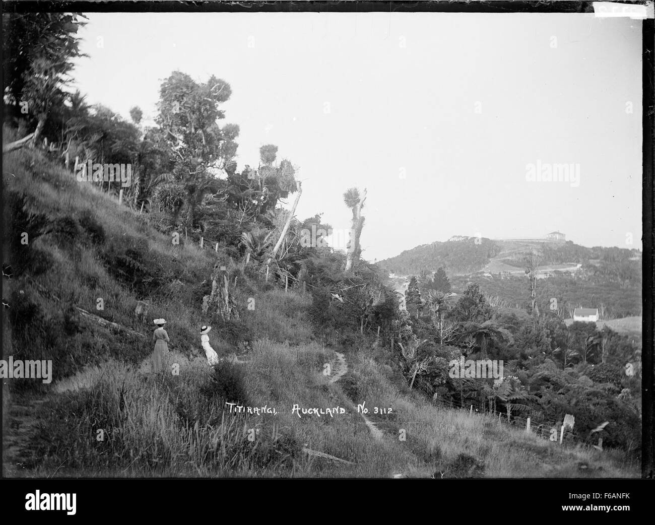 This image showcases a beautiful landscape in Titirangi, New Zealand ...