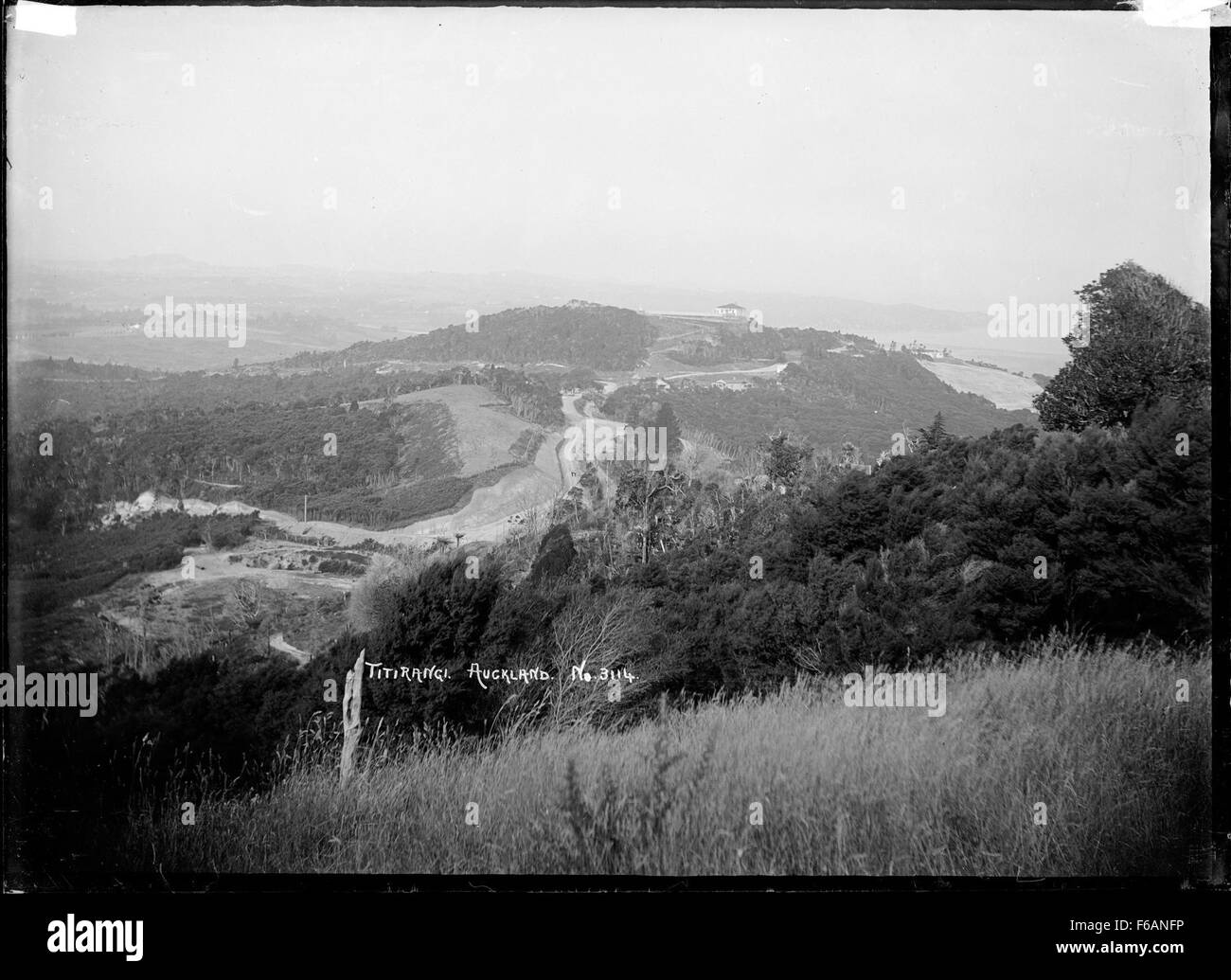 A scenic landscape view in Titirangi, New Zealand, featuring native ...