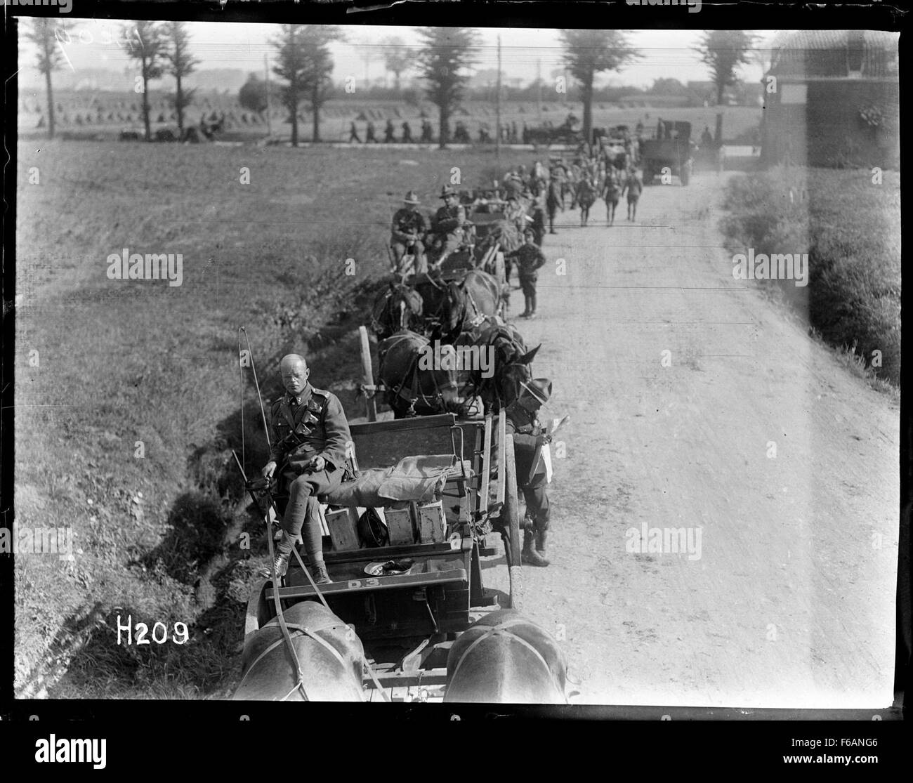 A line of horse-drawn army carriages at the New Zealand Army Service ...