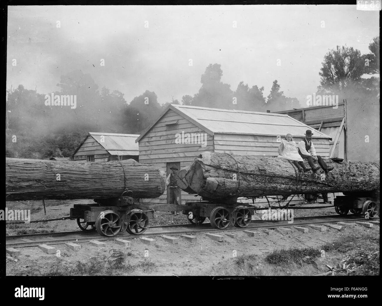 Long timber transport hi-res stock photography and images - Alamy