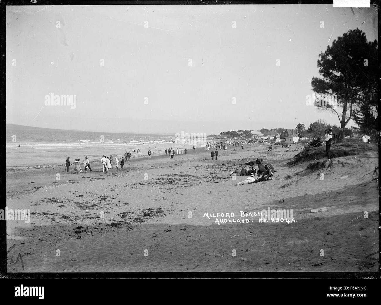 Milford Beach in Auckland, New Zealand, is a scenic location offering ...