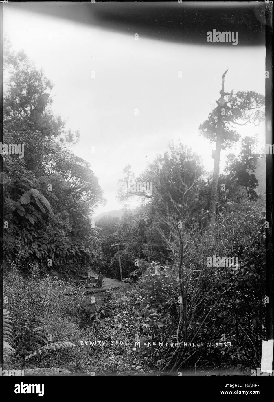 Meremere hi-res stock photography and images - Alamy