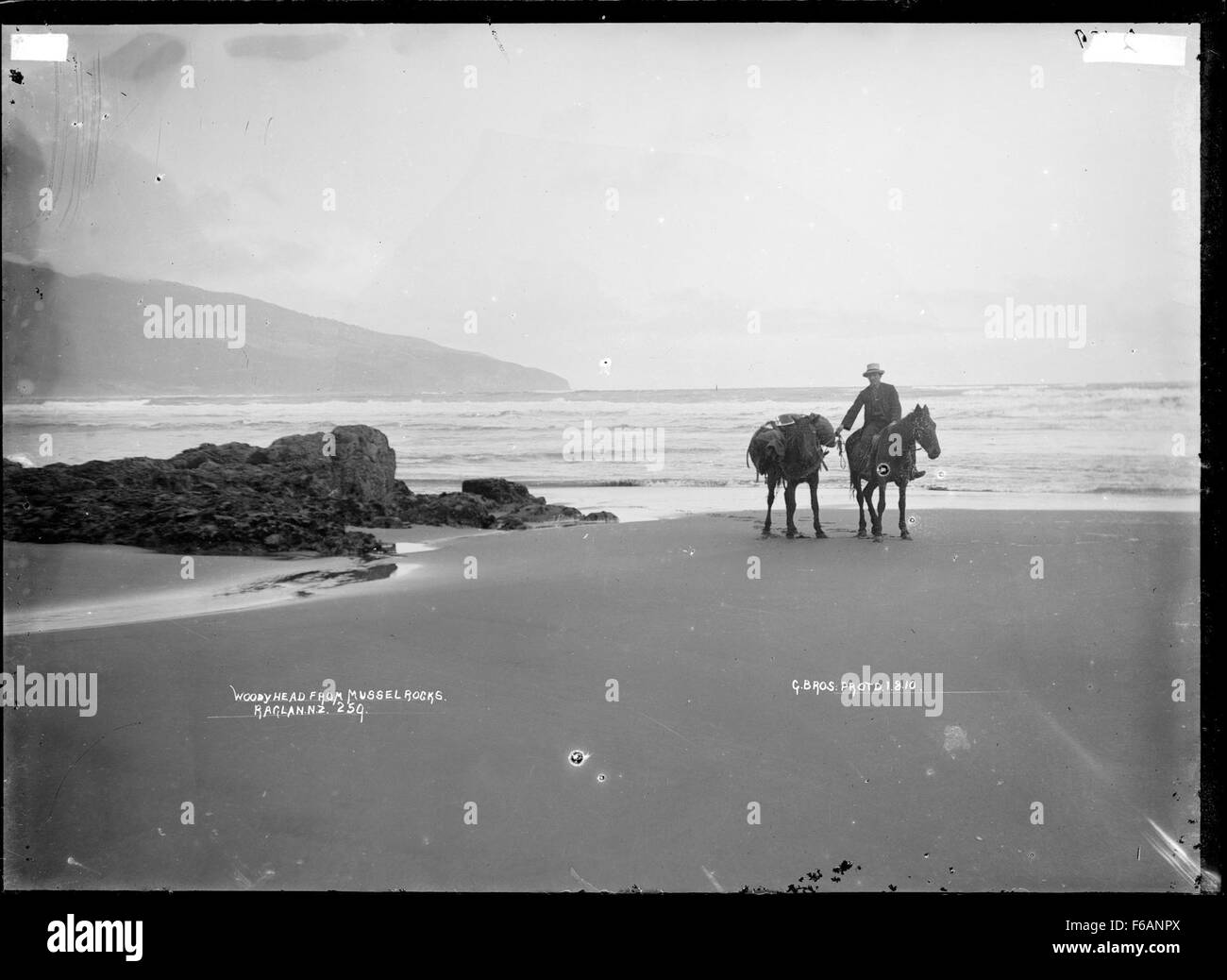 Te Kaha High Resolution Stock Photography and Images - Alamy