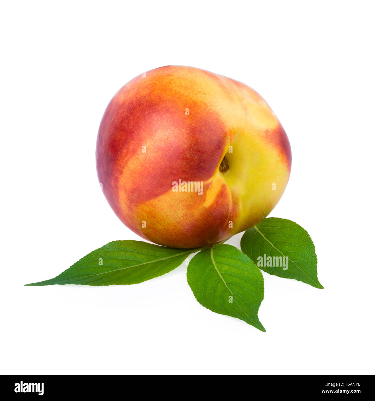 Close up white peach Cut Out Stock Images & Pictures - Alamy