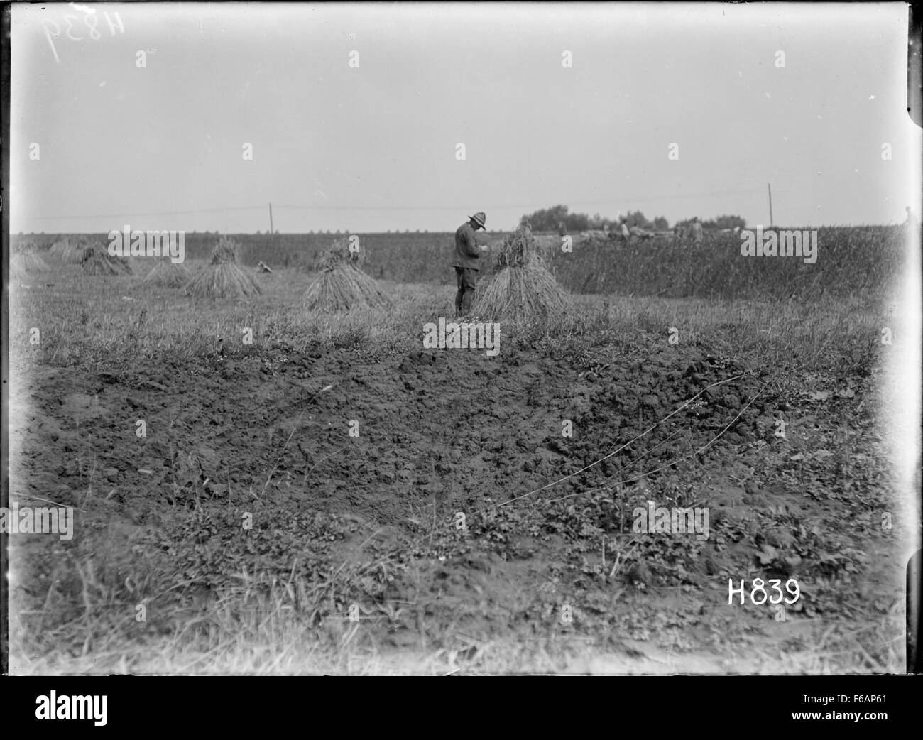 Crop farming new zealand Black and White Stock Photos & Images - Alamy