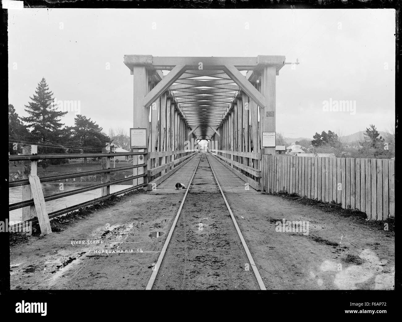The Ngaruawahia Railway Bridge, built in 1910, spans the Waipa River in ...