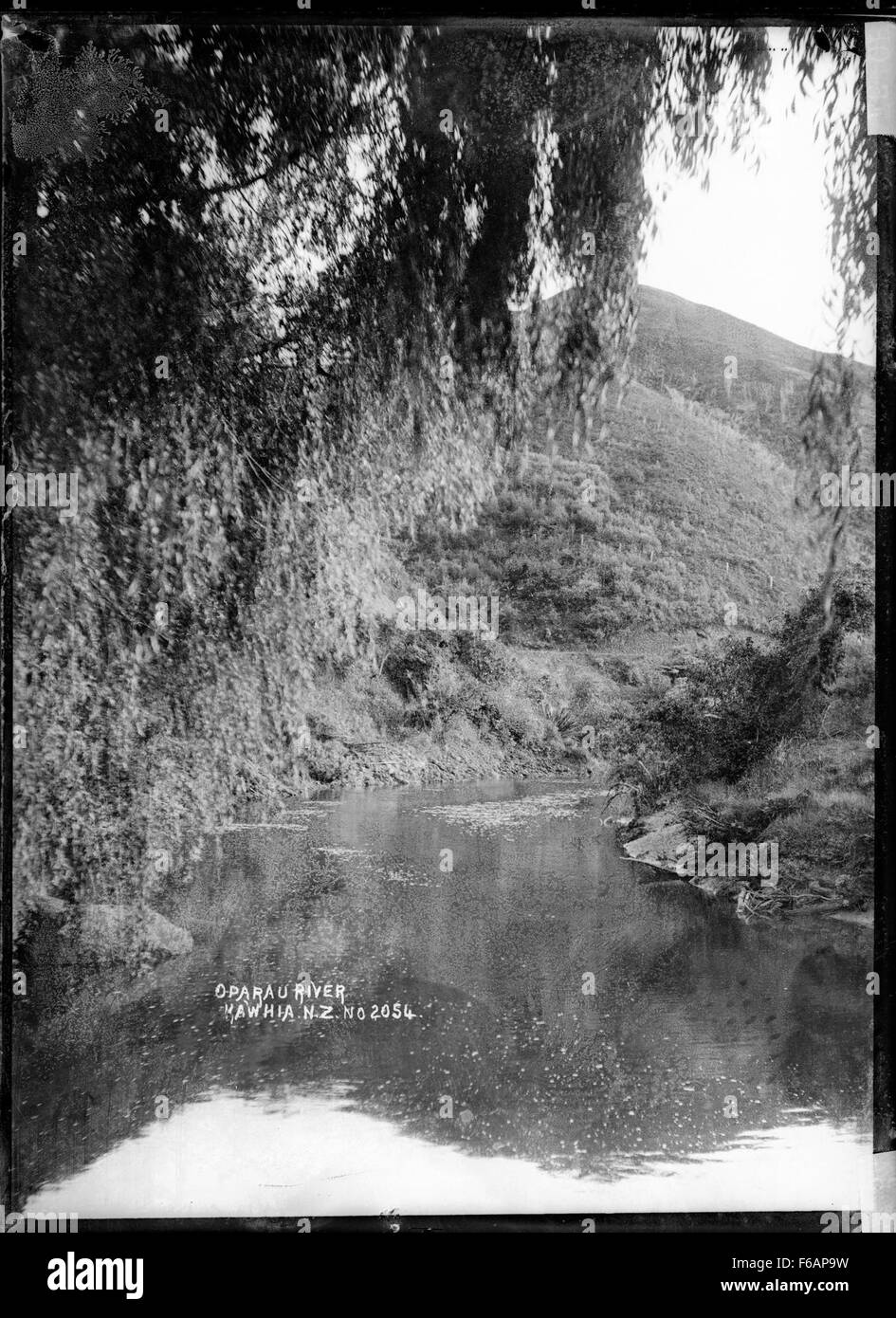 A scenic view of the Oparau River in the Kawhia region of New Zealand ...