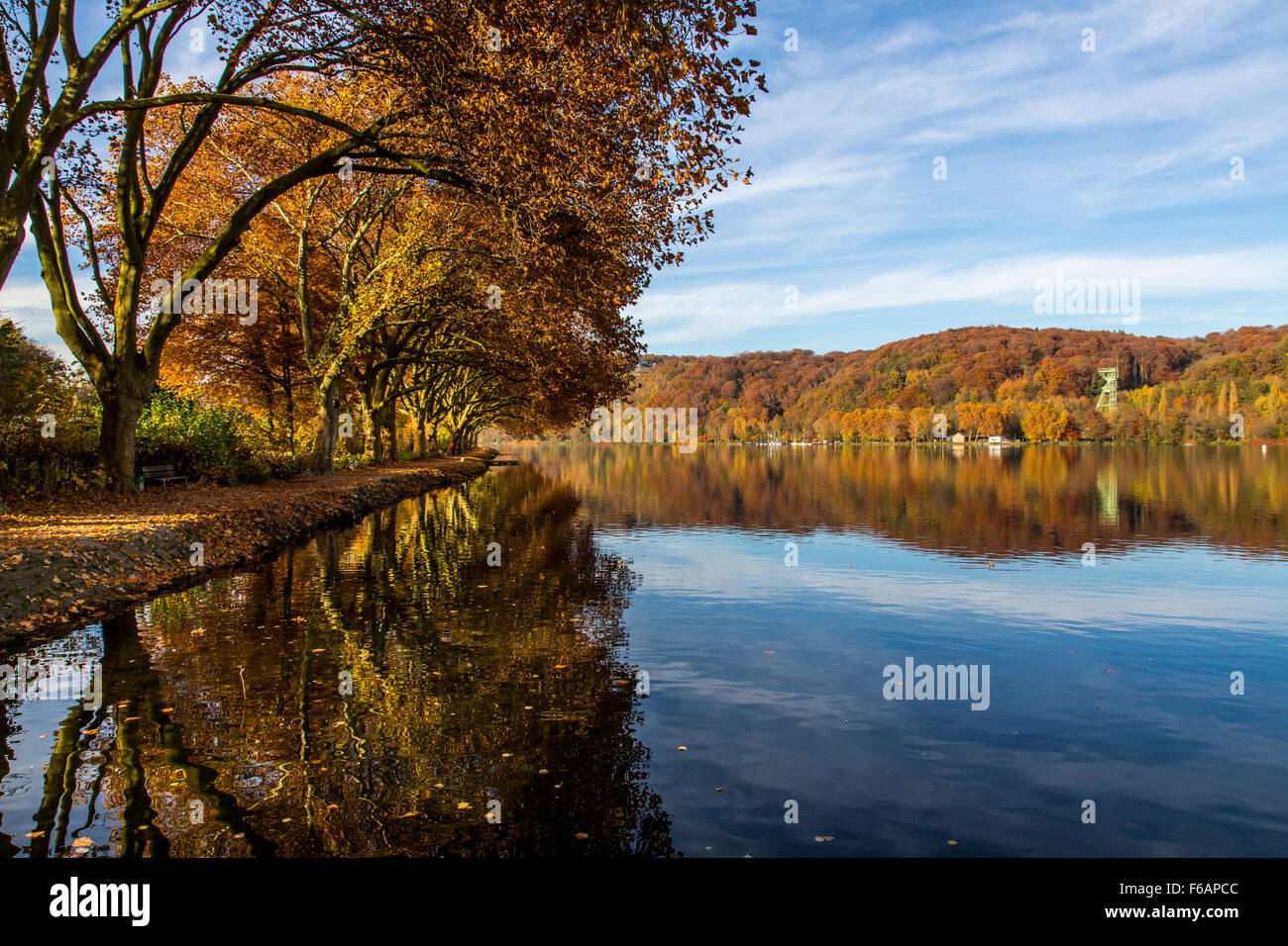 Baldeneysee lake, in Essen, Germany, fall, trees in autumn colors ...