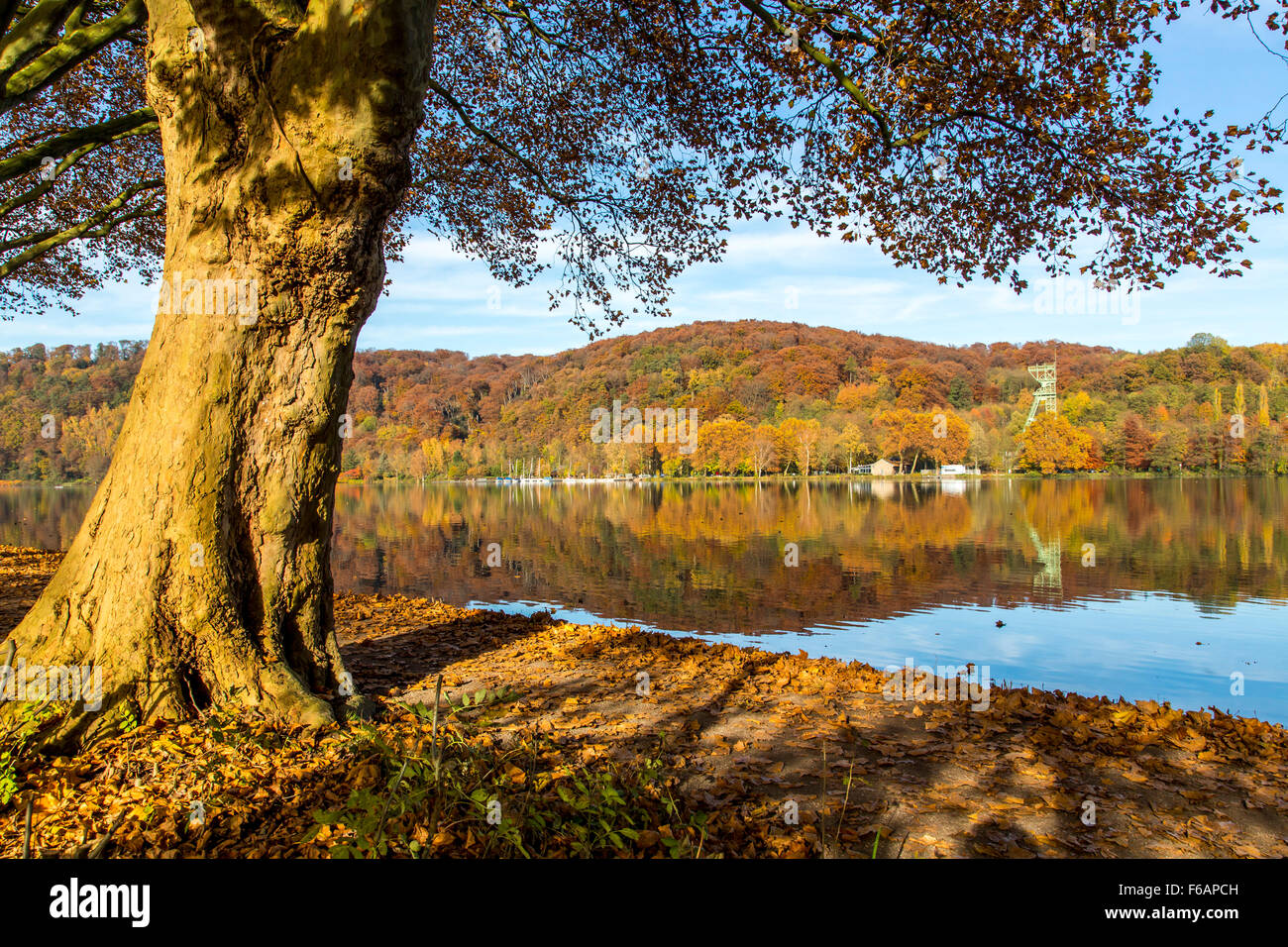 Baldeneysee lake, in Essen, Germany, fall, trees in autumn colors ...