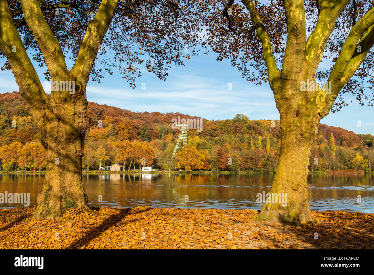 Baldeneysee lake, in Essen, Germany, fall, trees in autumn colors ...