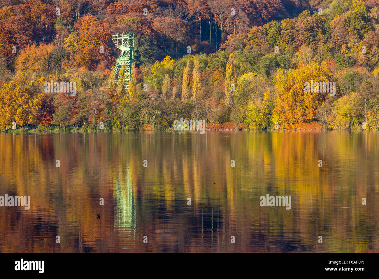 Baldeneysee lake, in Essen, Germany, fall, trees in autumn colors ...