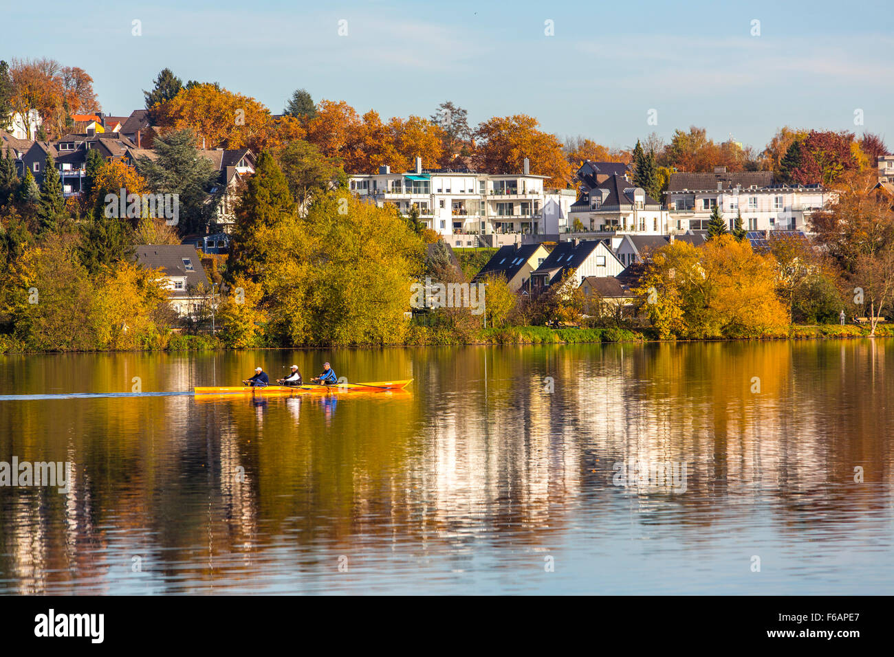 Baldeneysee lake, in Essen, Germany, fall, trees in autumn colors ...