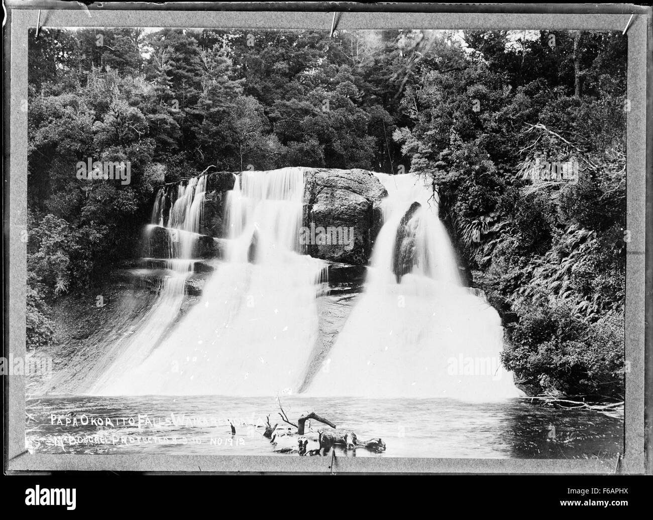 Papakorito Falls is located on the Aniwaniwa Stream, a beautiful ...