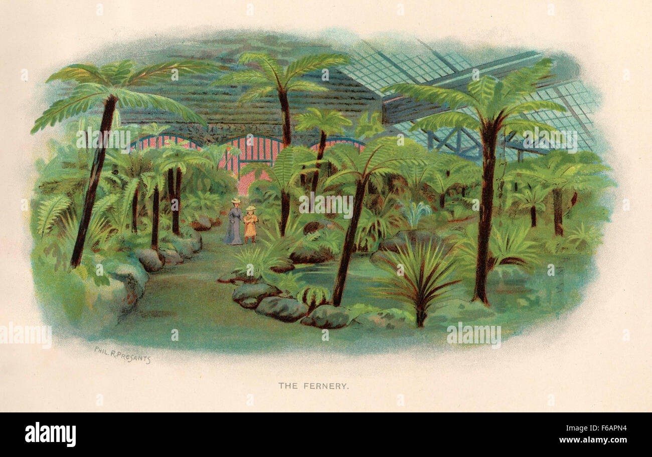 Philip Robert Presants' painting 'The Fernery,' created in 1906 ...