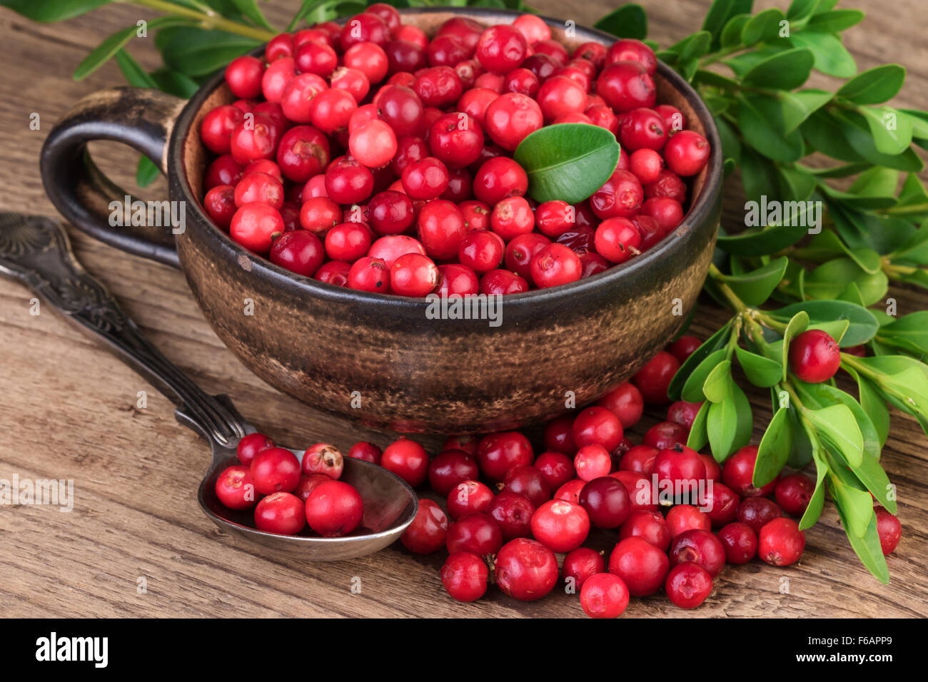 Lingonberry hi-res stock photography and images - Alamy