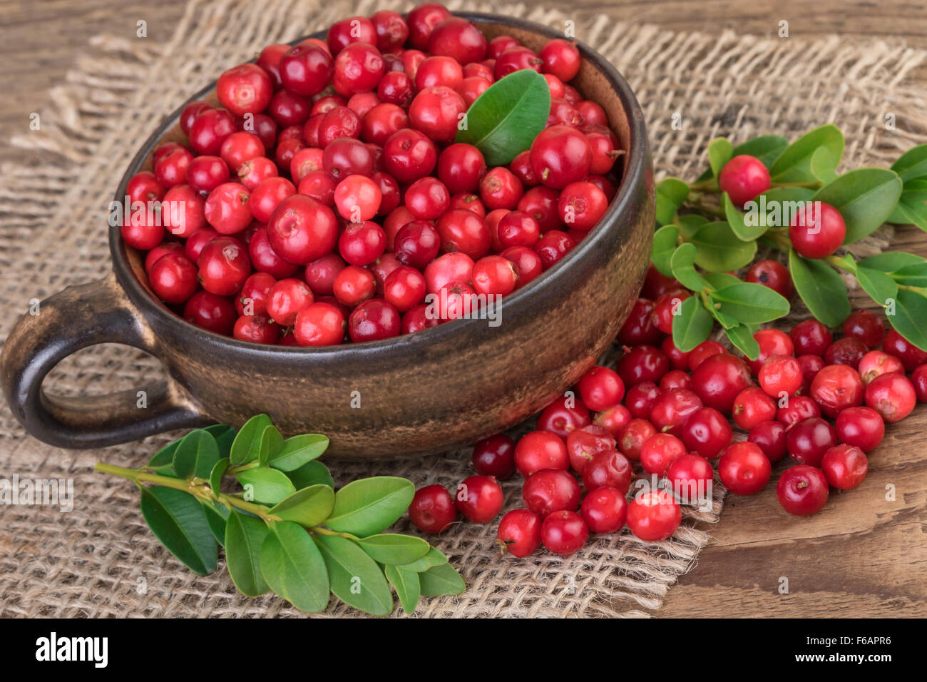 Lingonberry hi-res stock photography and images - Alamy