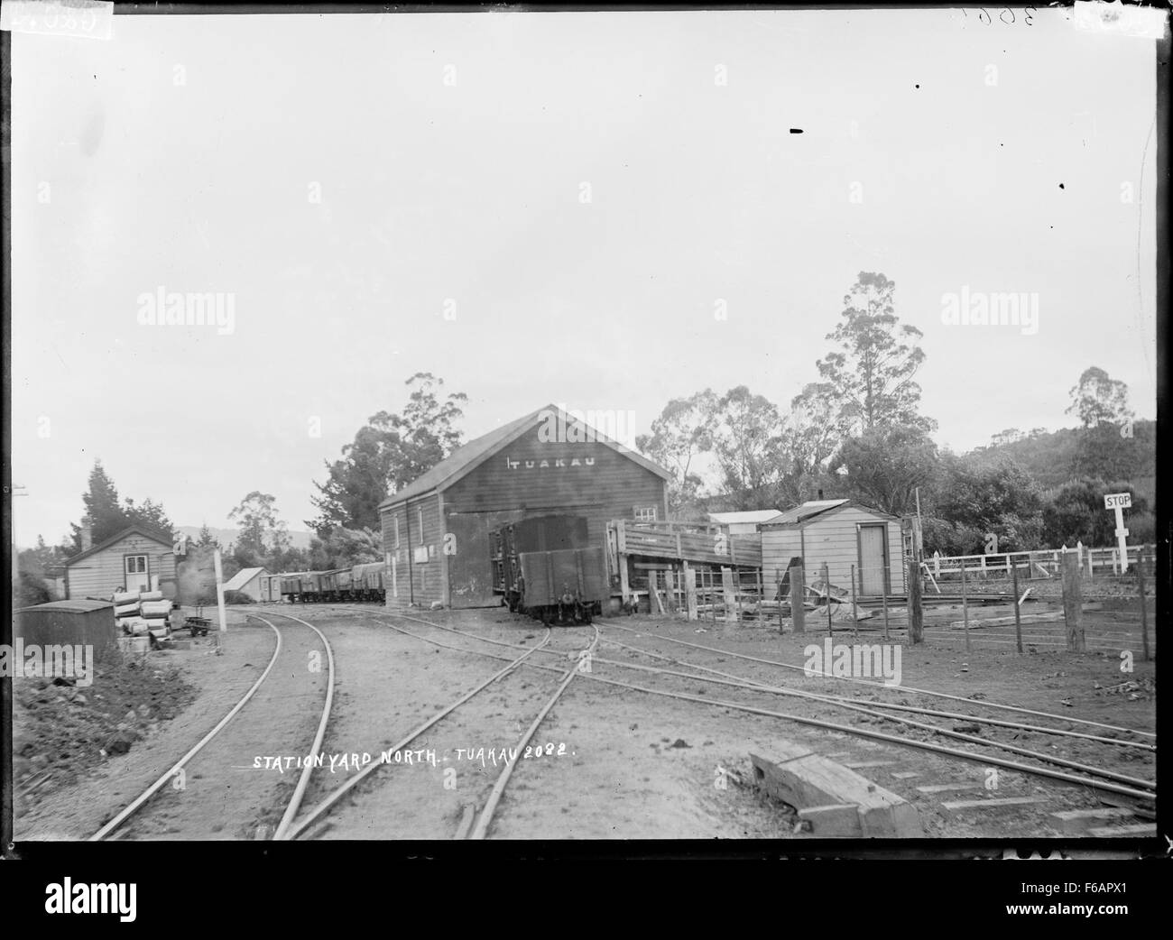 Tuakau hi-res stock photography and images - Alamy