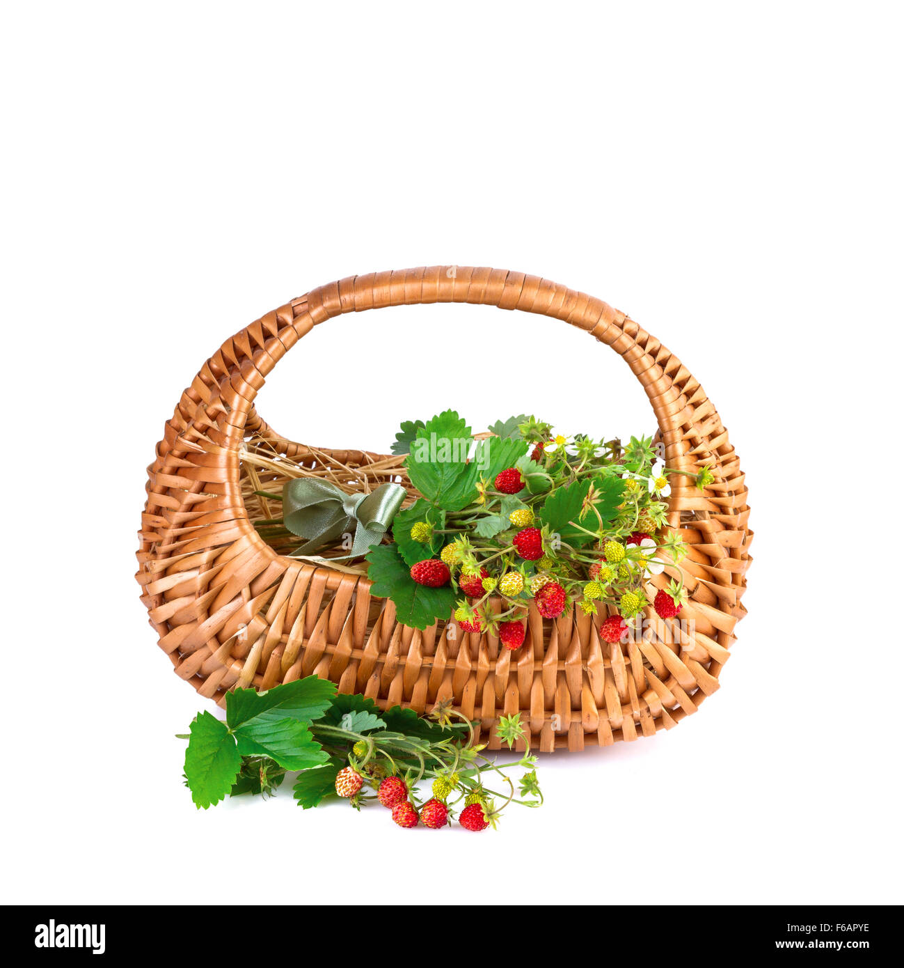 Basket of Wild Strawberries isolated on white background Stock Photo ...