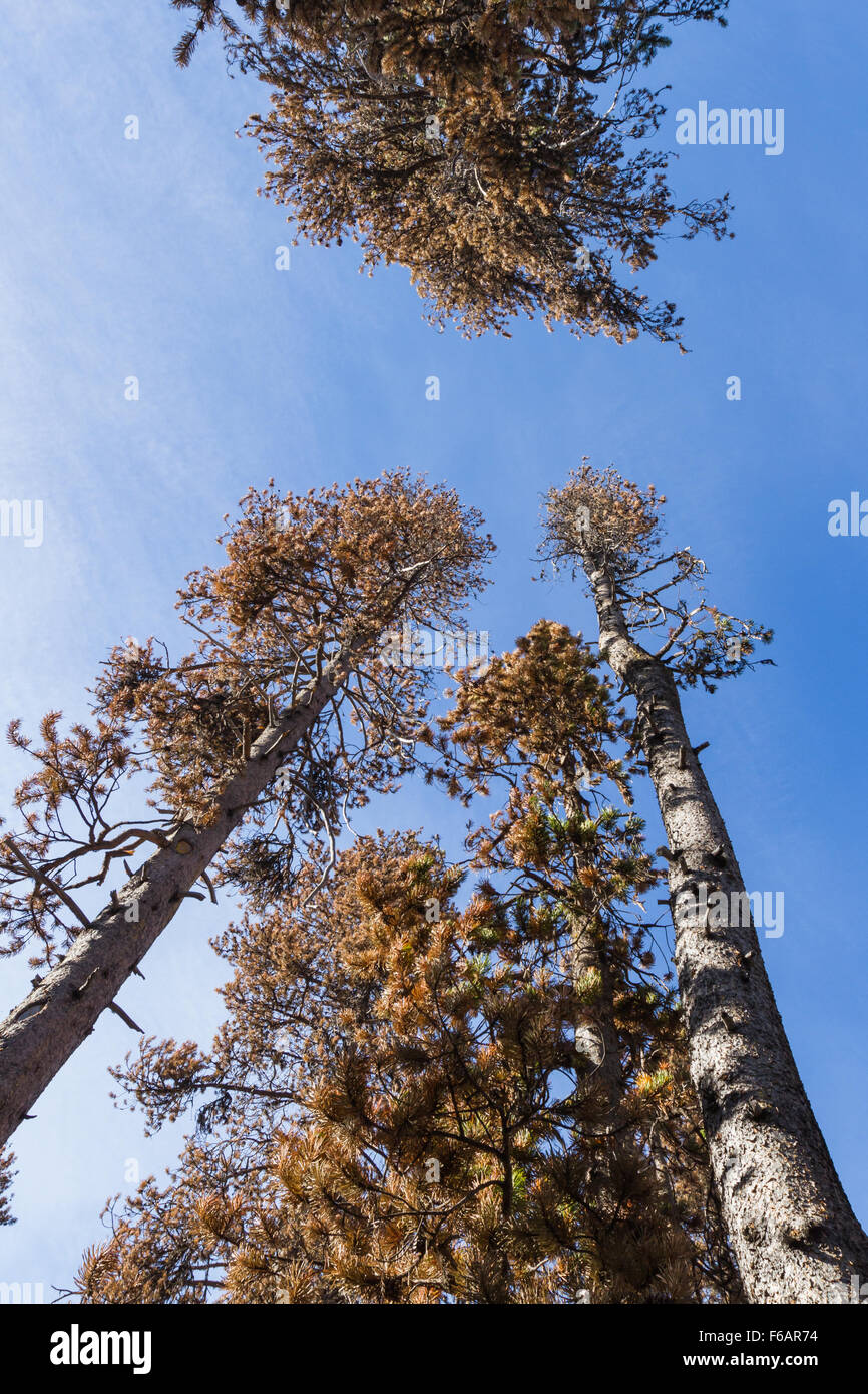 National creek complex hi-res stock photography and images - Alamy