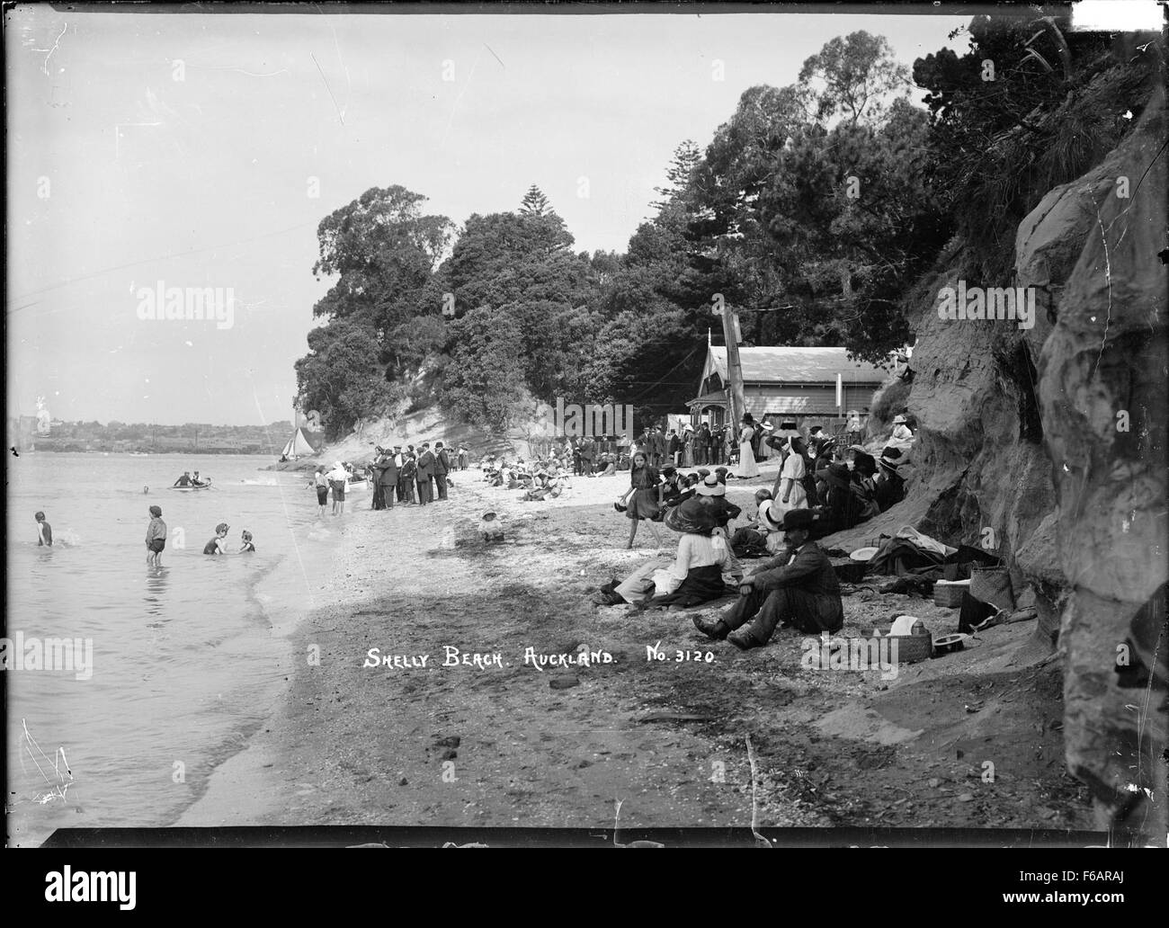 Shelly Beach in Auckland is a popular coastal spot known for its sandy ...