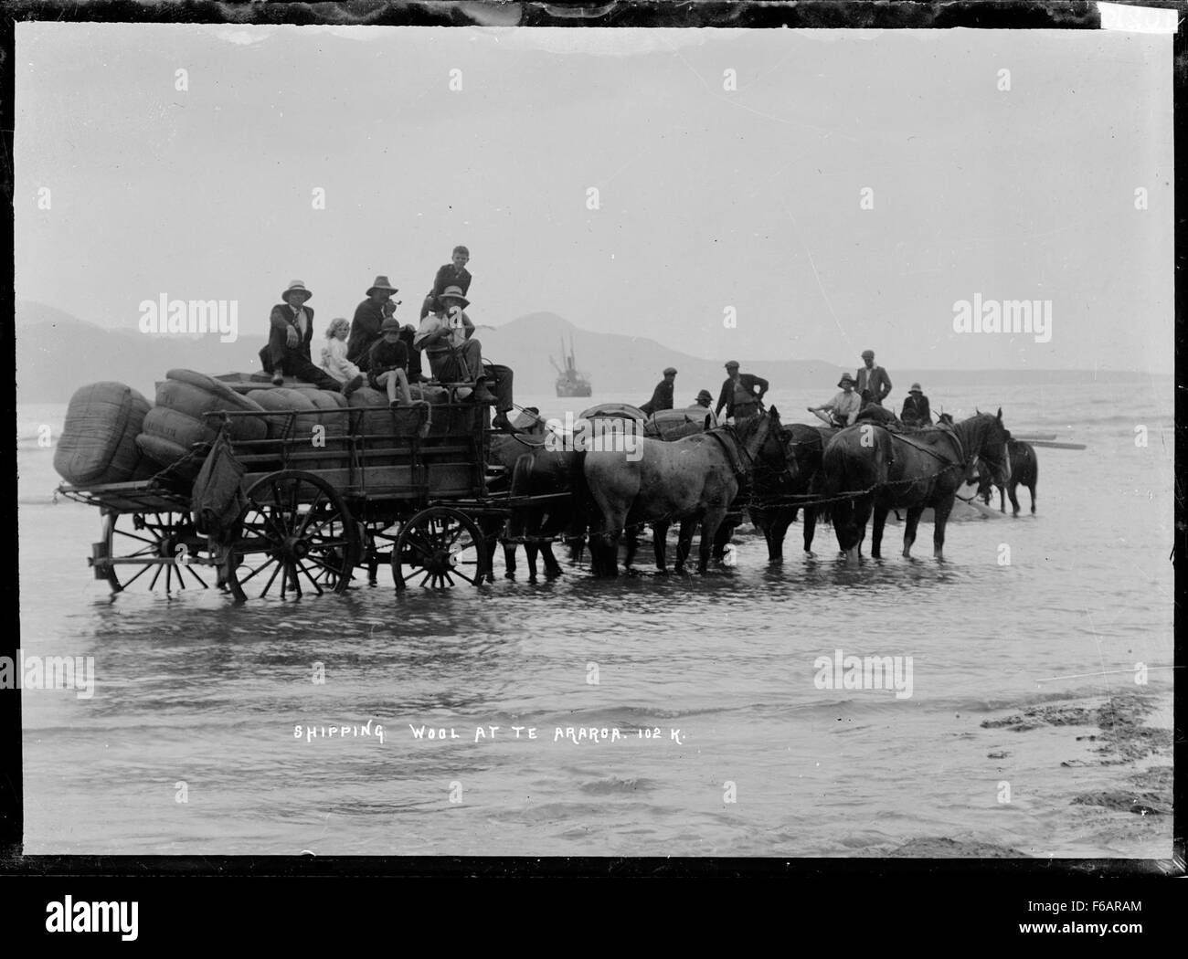 In 1917, wool bales were loaded from a horse-drawn cart into a rowboat ...