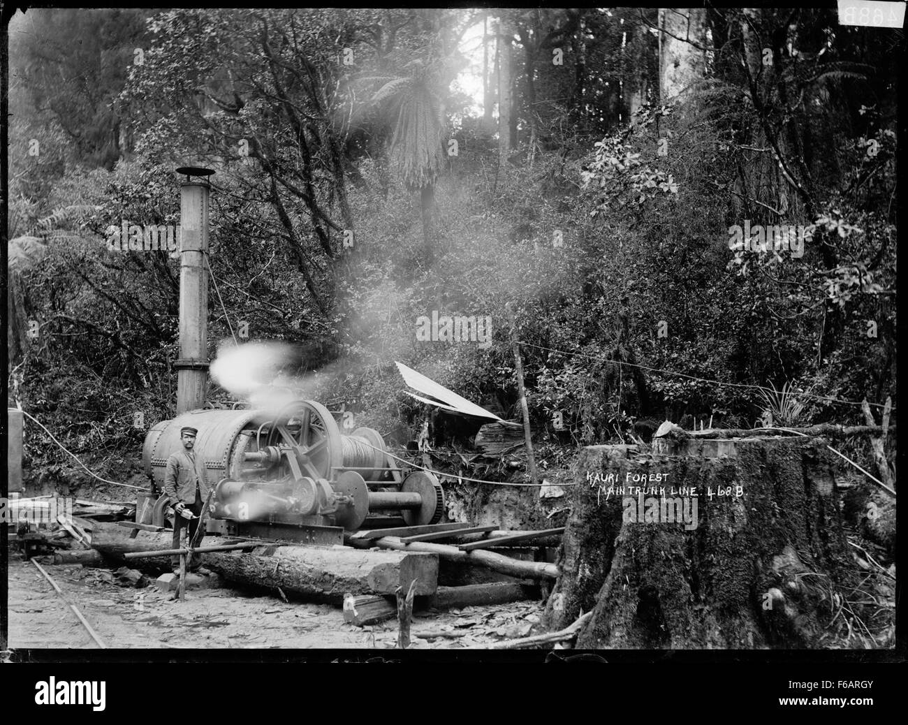 A steam-powered log hauler used in the kauri forests of North Island ...