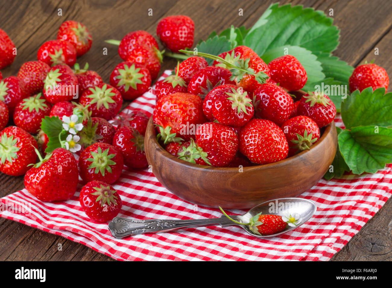 Checkered leaf hi-res stock photography and images - Alamy