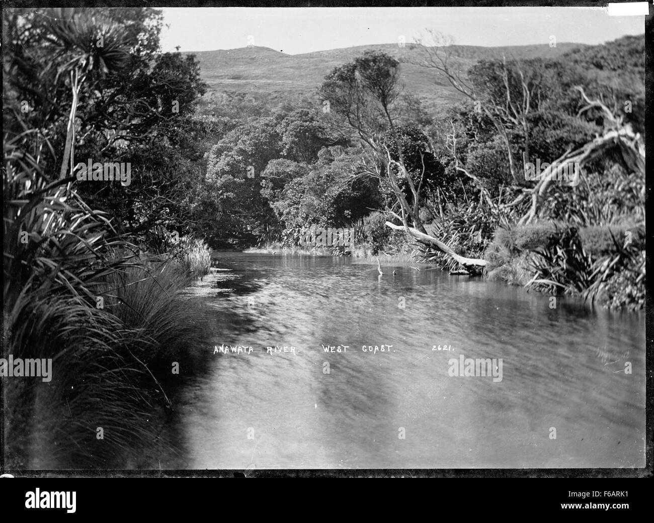 This photograph shows the Anawhata River and its surrounding native ...
