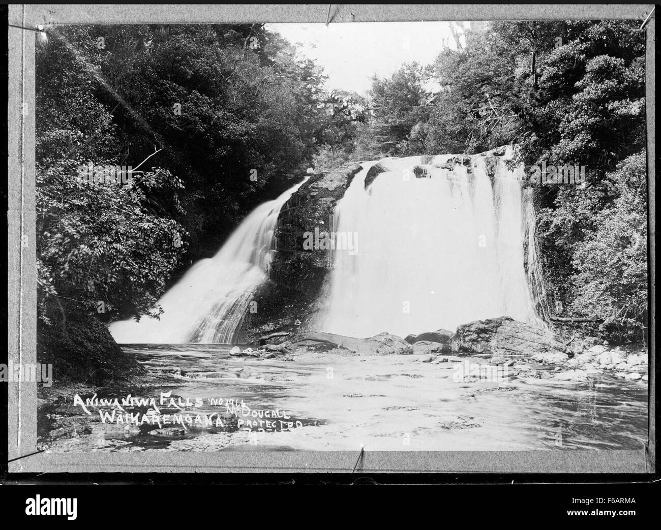 John William’s photograph of Aniwaniwa Falls captures the stunning ...