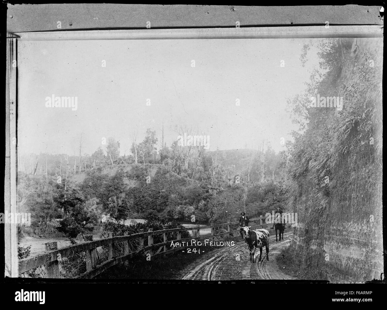 Apiti Road in Manawatu, New Zealand, is a rural roadway that serves as ...