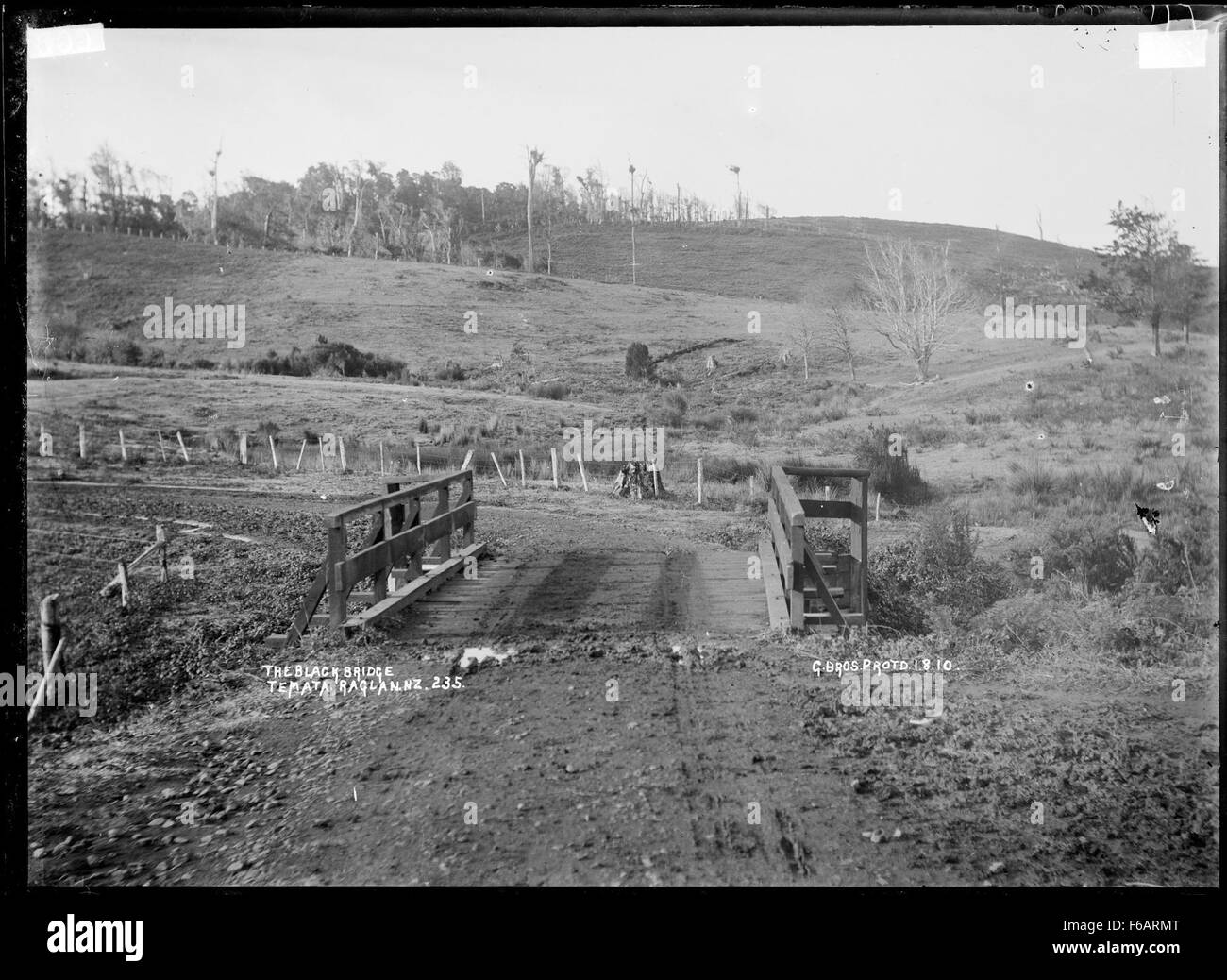 This photograph from 1910 captures the Black Bridge at Te Mata, near ...