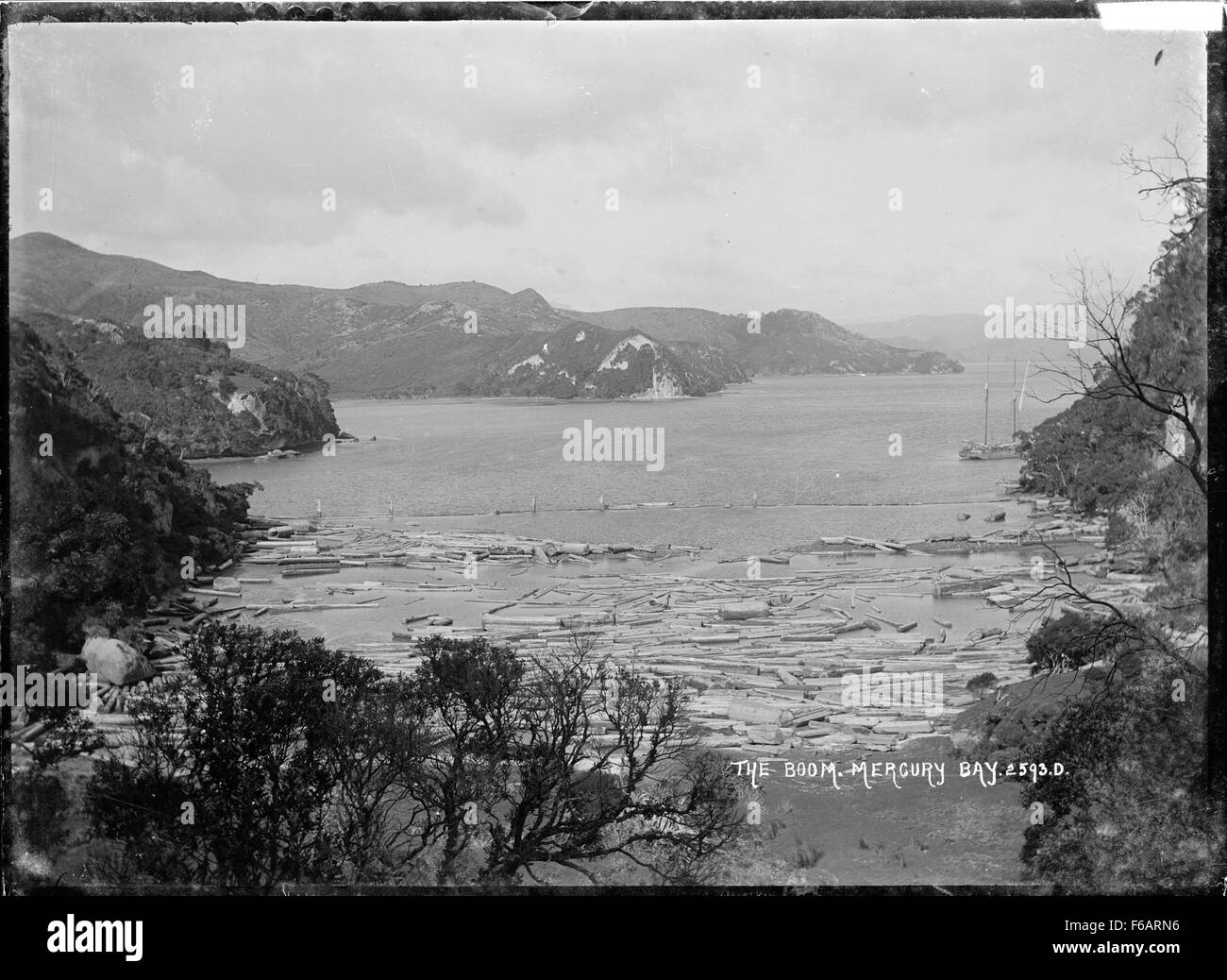 *Mercury Bay* on the *Coromandel Peninsula* in New Zealand is known for ...