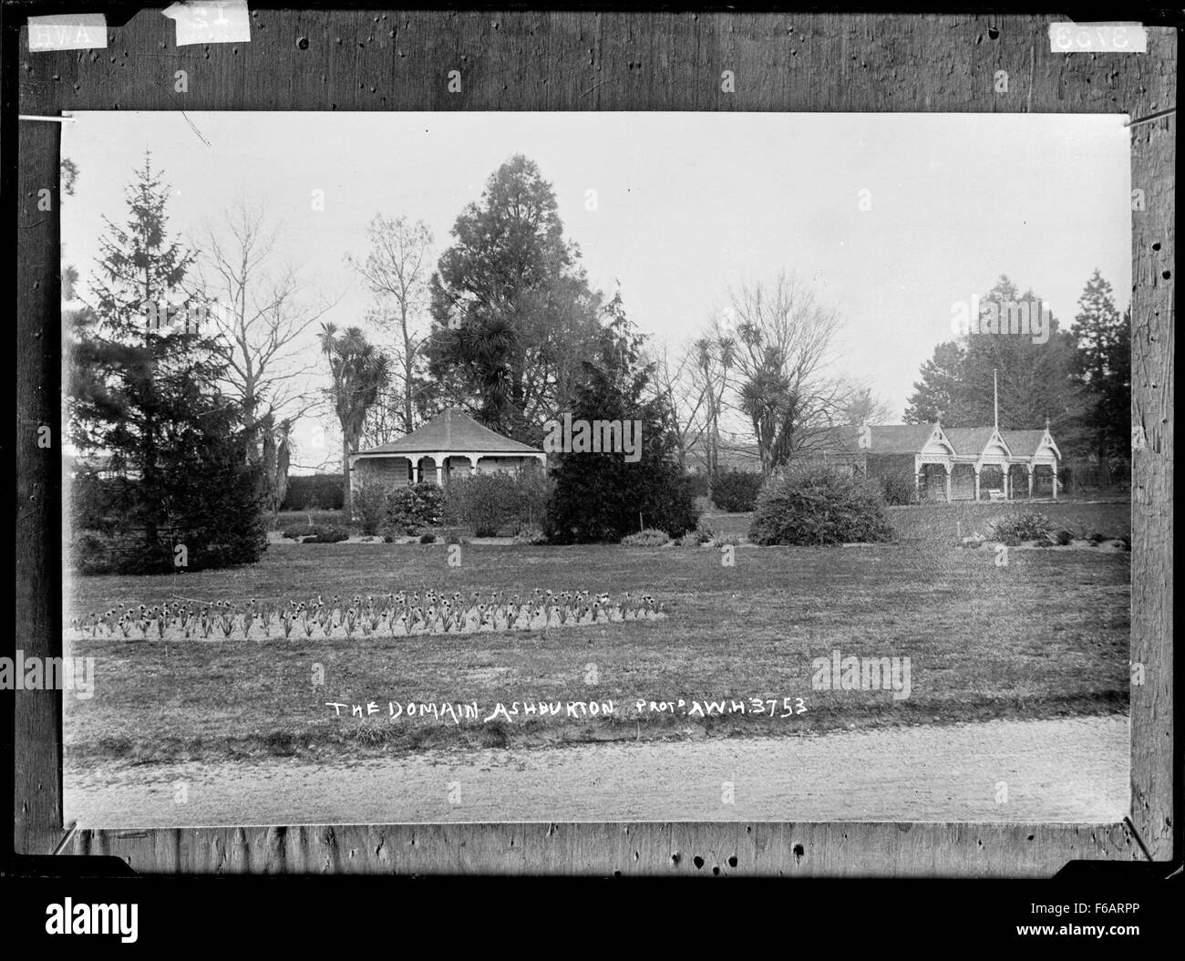 This photograph of The Domain in Ashburton, captured by AWH ...