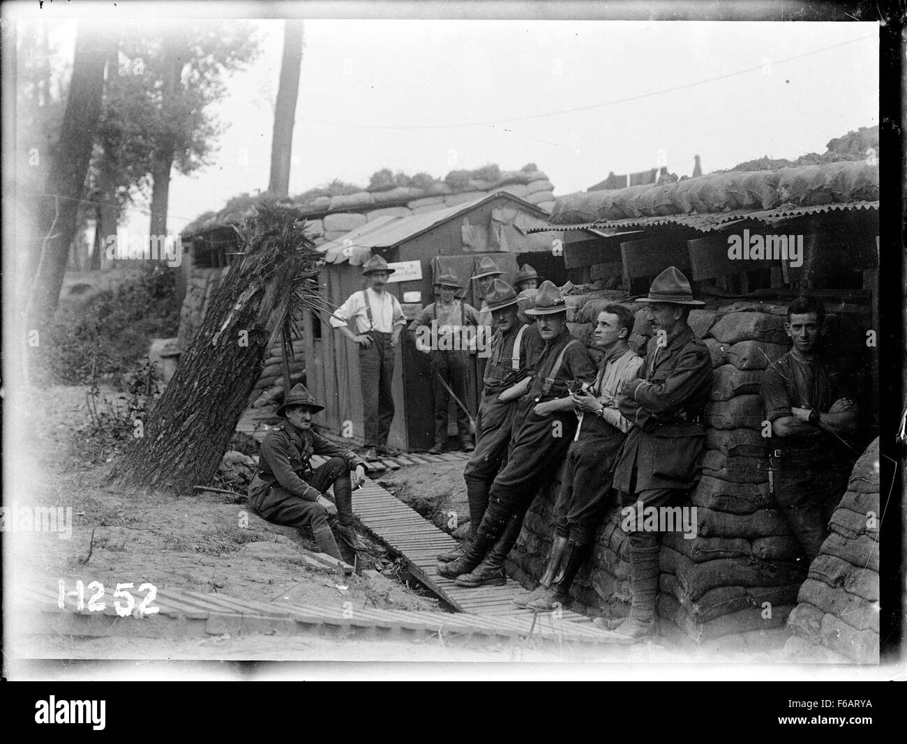 The New Zealand Rifle Brigade in camp near the line Stock Photo - Alamy