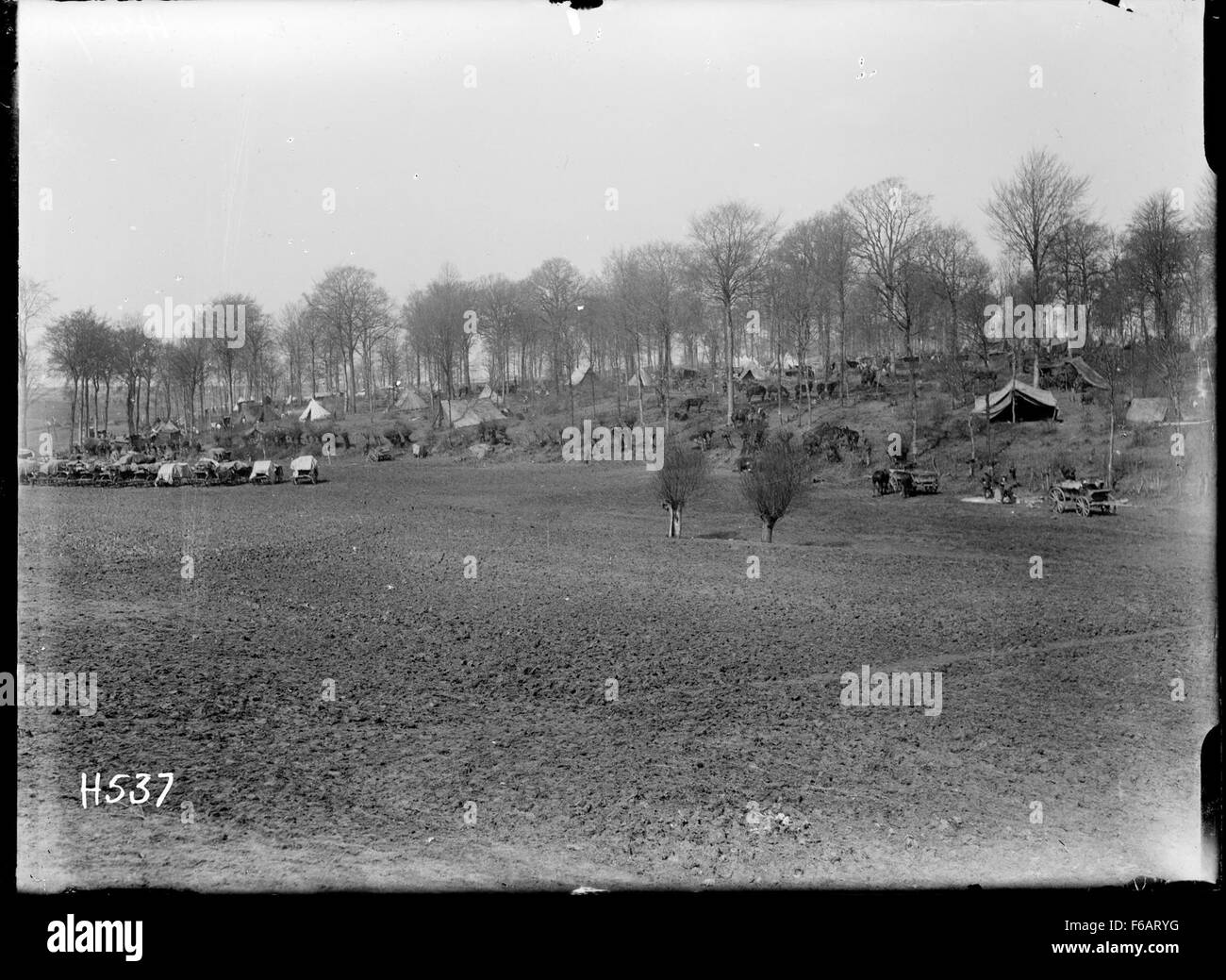 This historical image shows New Zealand soldiers bivouacked in a wood ...