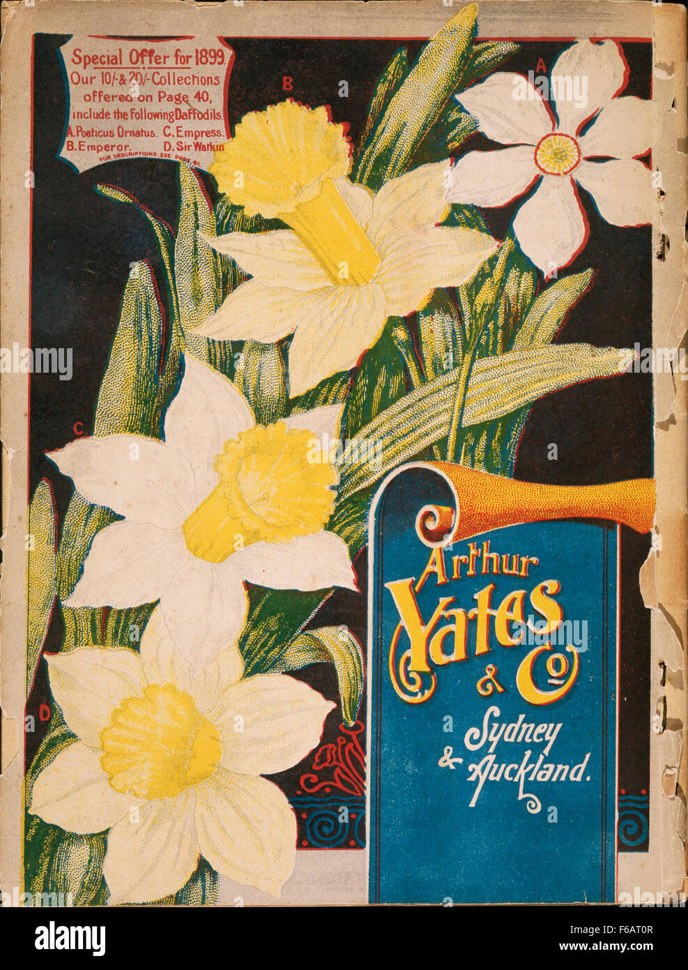 Yates nursery catalogue hi-res stock photography and images - Alamy