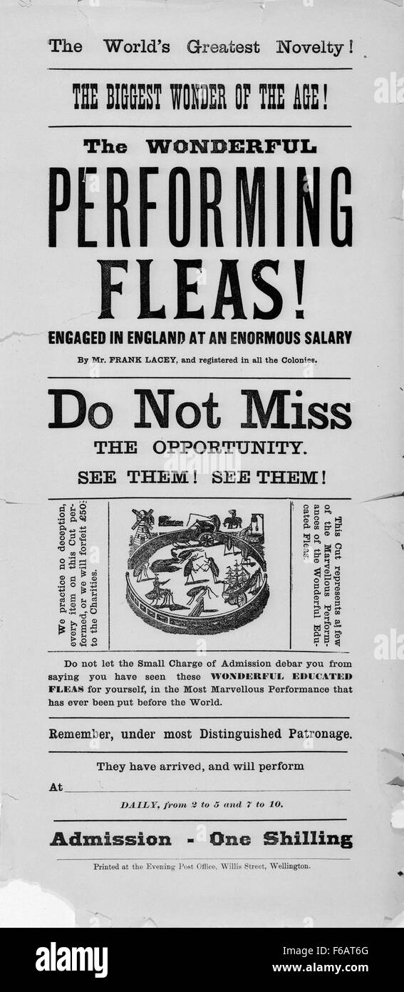 Performing act hi-res stock photography and images - Alamy