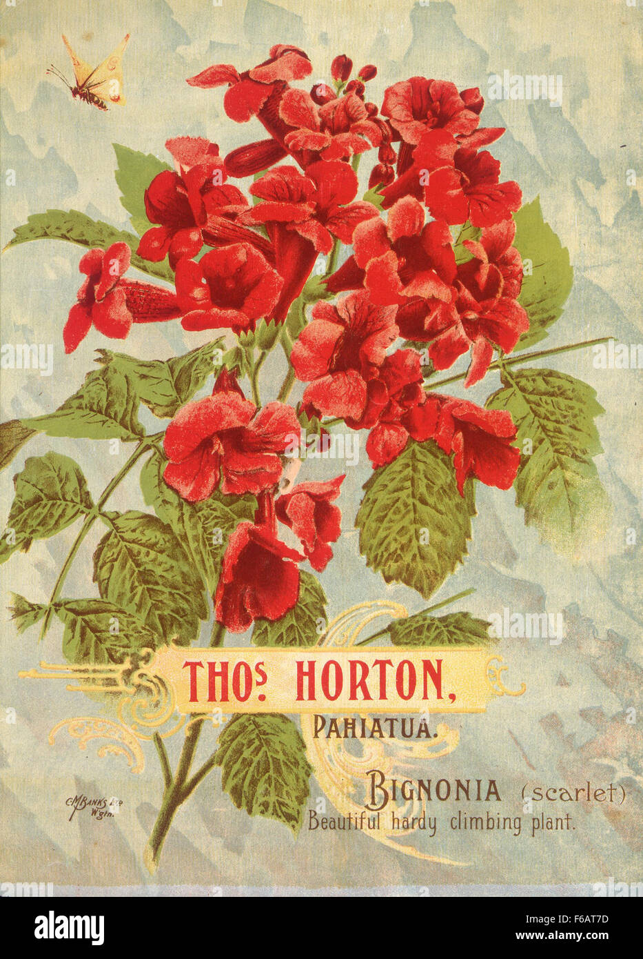 Thomas horton ltd hi-res stock photography and images - Alamy