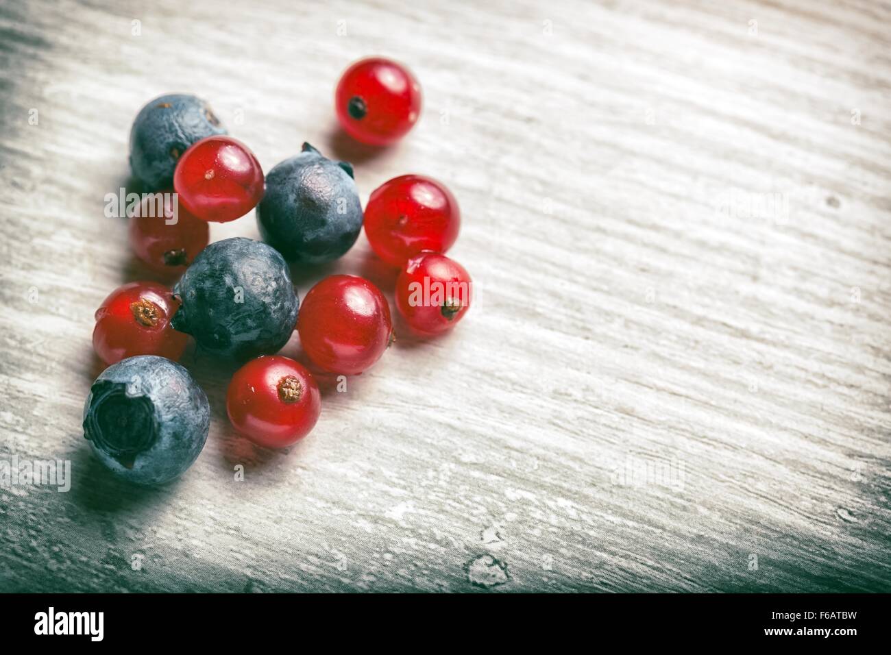 Healthy forest background hi-res stock photography and images - Alamy