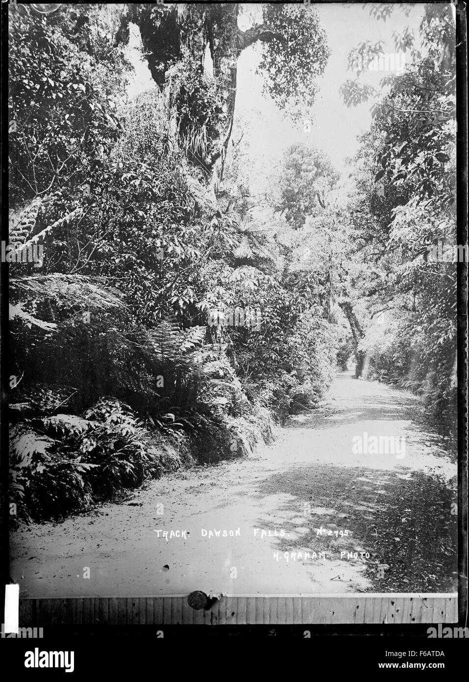 The track on Mount Egmont, located in the Dawson Falls area, offers a ...