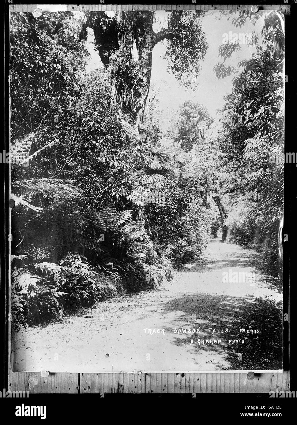 Dawson falls area hi-res stock photography and images - Alamy