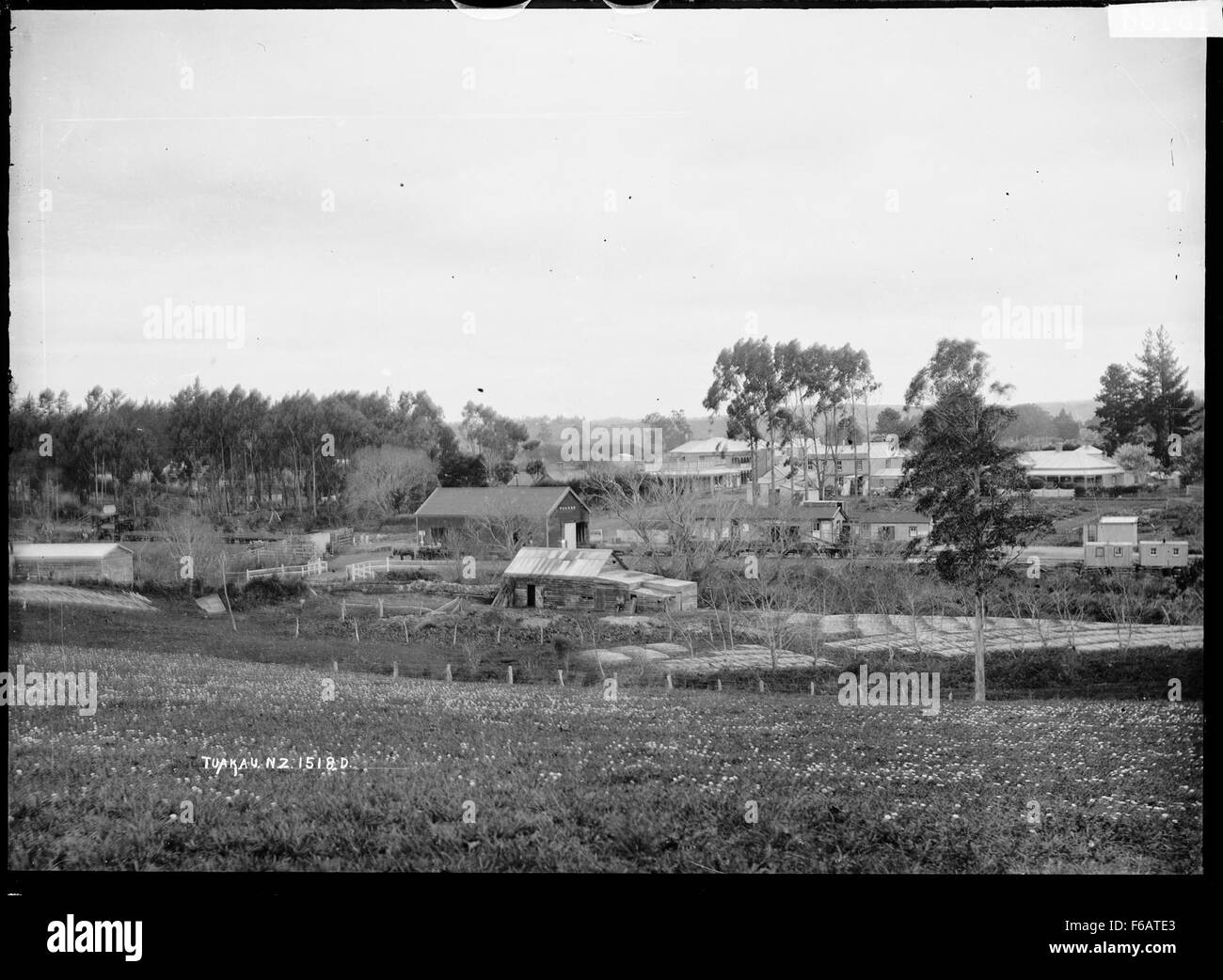 Tuakau hi-res stock photography and images - Alamy