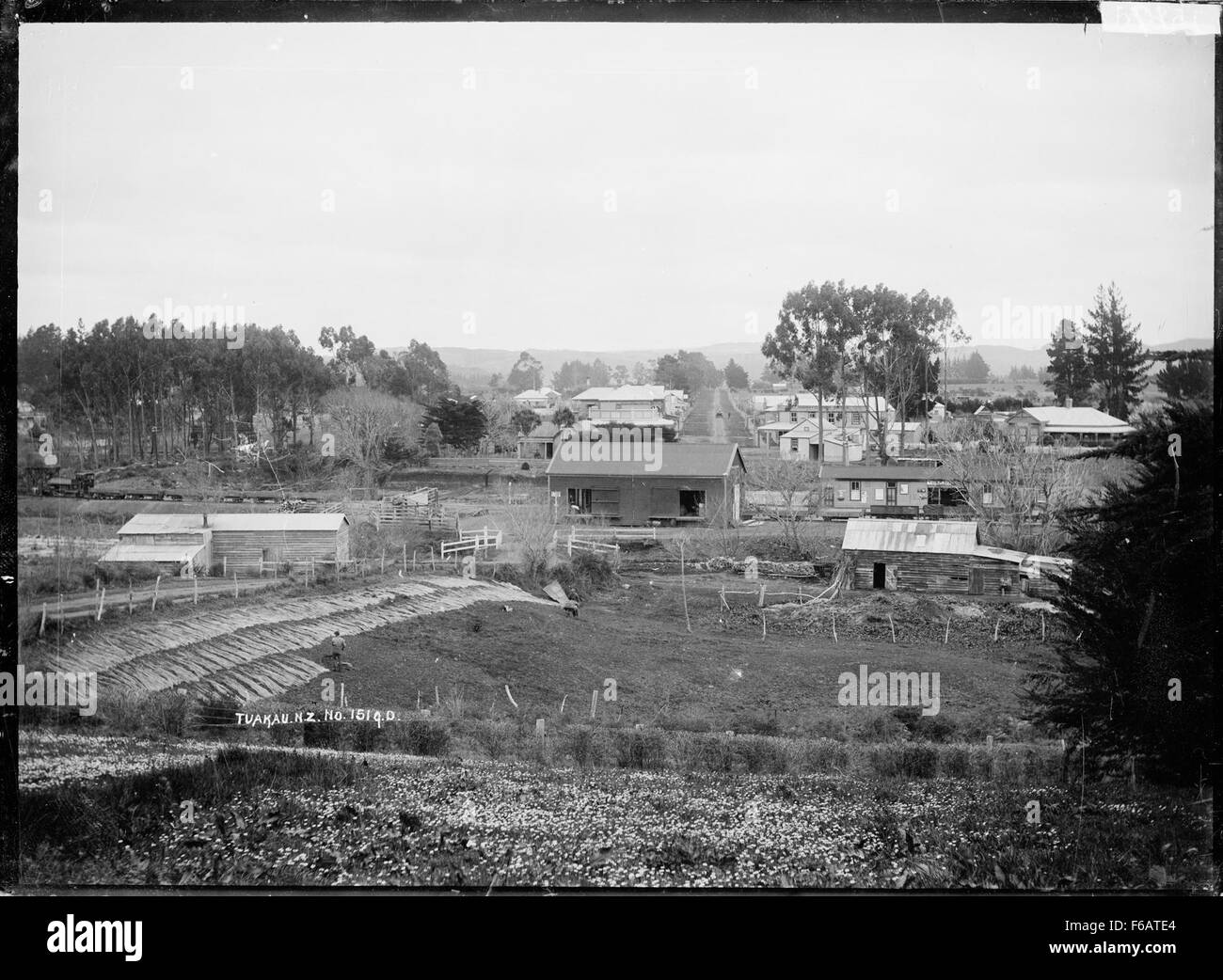 Tuakau hi-res stock photography and images - Alamy