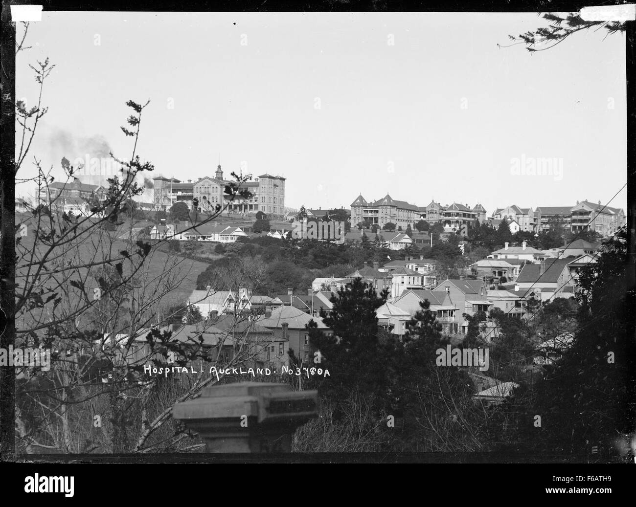 Auckland hospital new zealand hi-res stock photography and images - Alamy